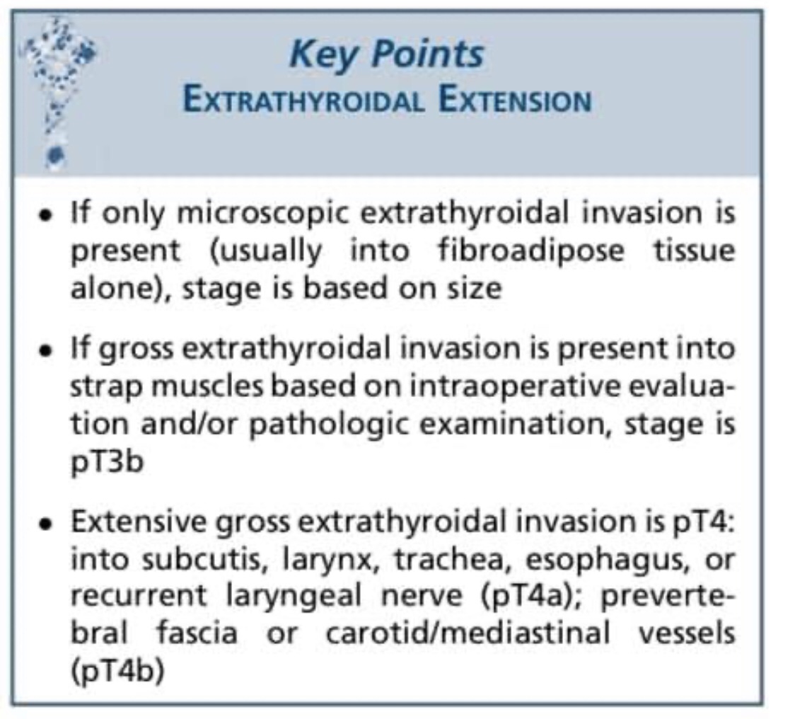 Interpreting Microscopic Positive Margins in Differentiated Thyroid ...