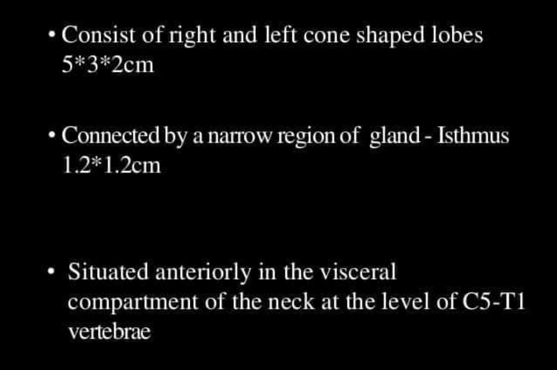 Five things you should know about the Surgical Anatomy of the Thyroid ...