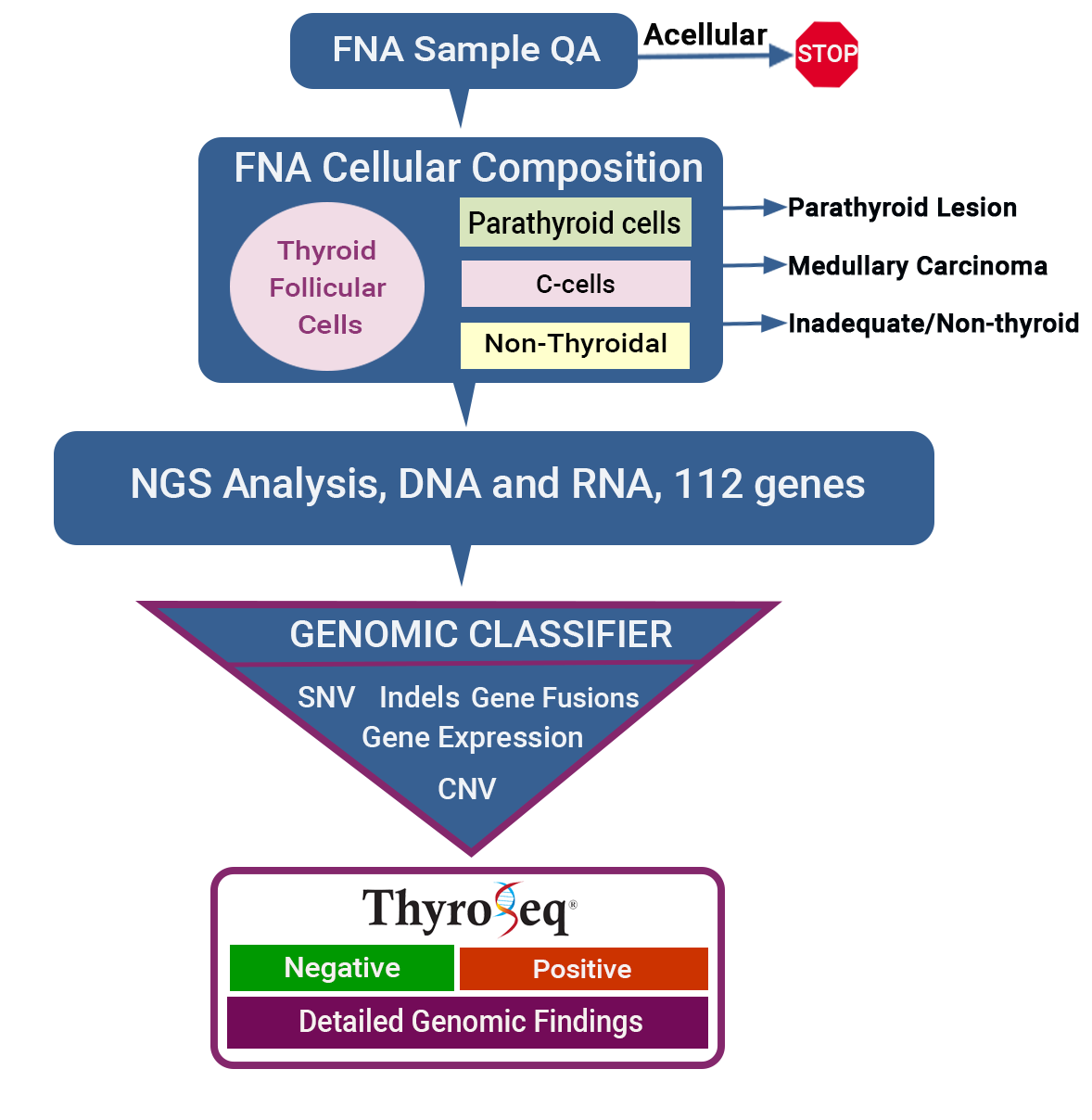 Diagnostic Utility of Thyroseq as a Thyroid Molecular Test – Rodrigo ...