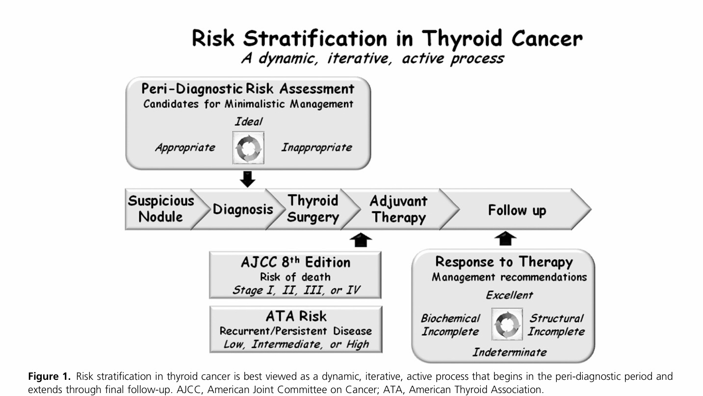 Risk Stratification in Differentiated Thyroid Cancer – Rodrigo ...
