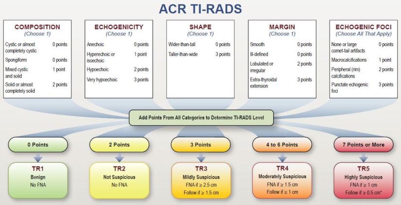 TIRADS Classification – Rodrigo Arrangoiz MS, MD, FACS, FSSO