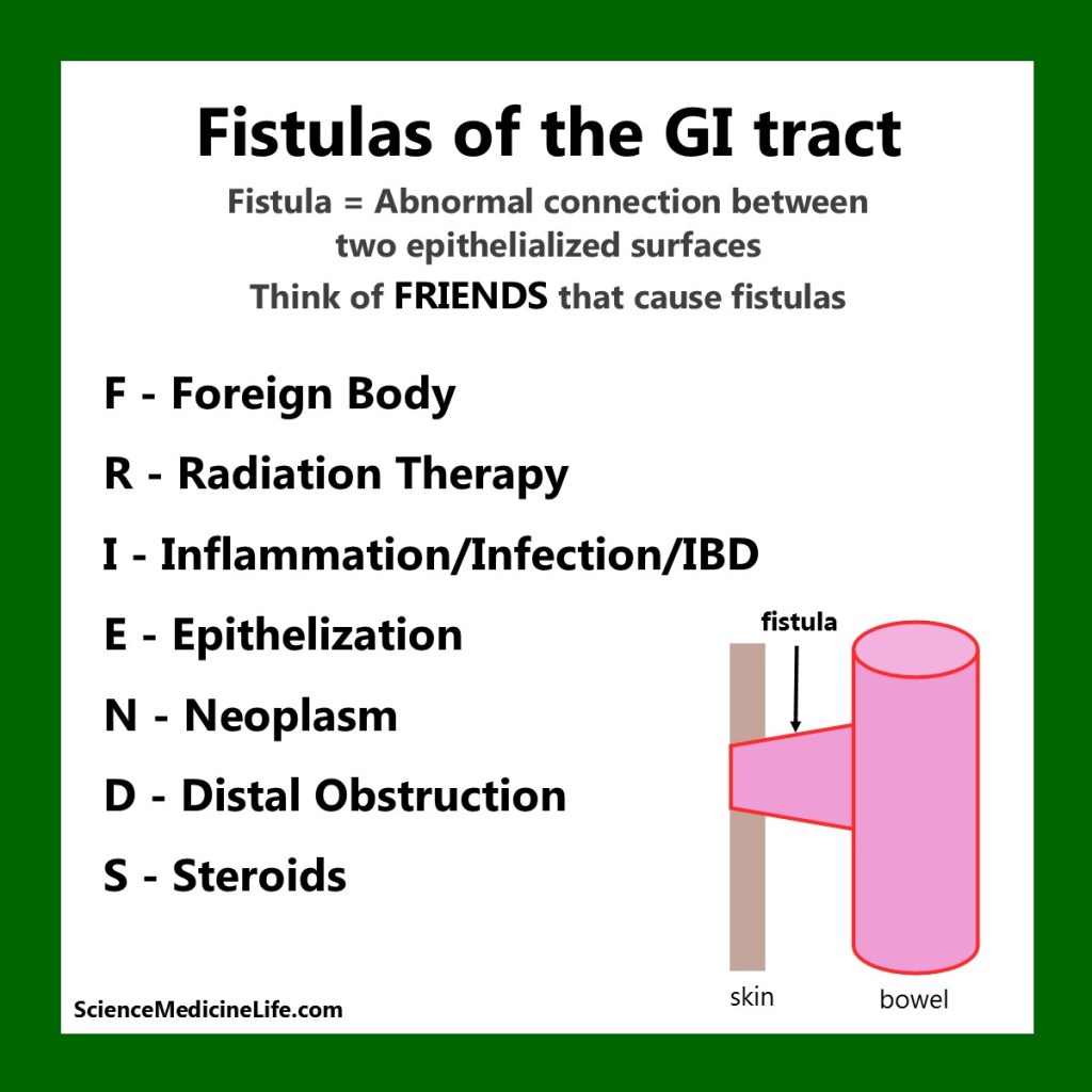 Fistulas of the Gastrointestinal Tract – Rodrigo Arrangoiz MS, MD, FACS ...