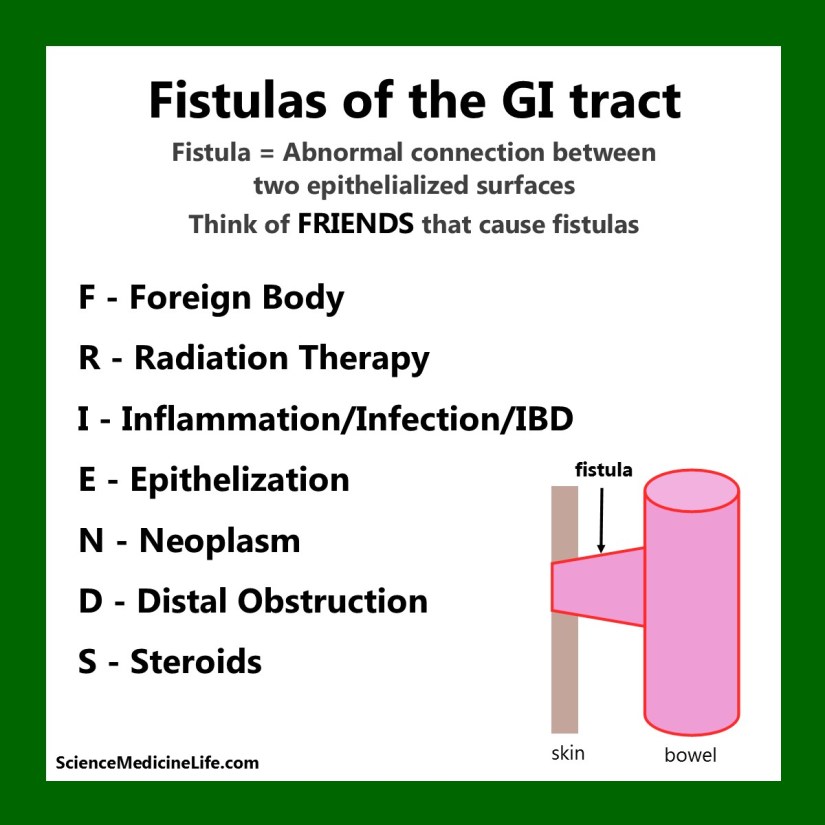 Fistulas of the Gastrointestinal Tract – Rodrigo Arrangoiz MS, MD, FACS ...