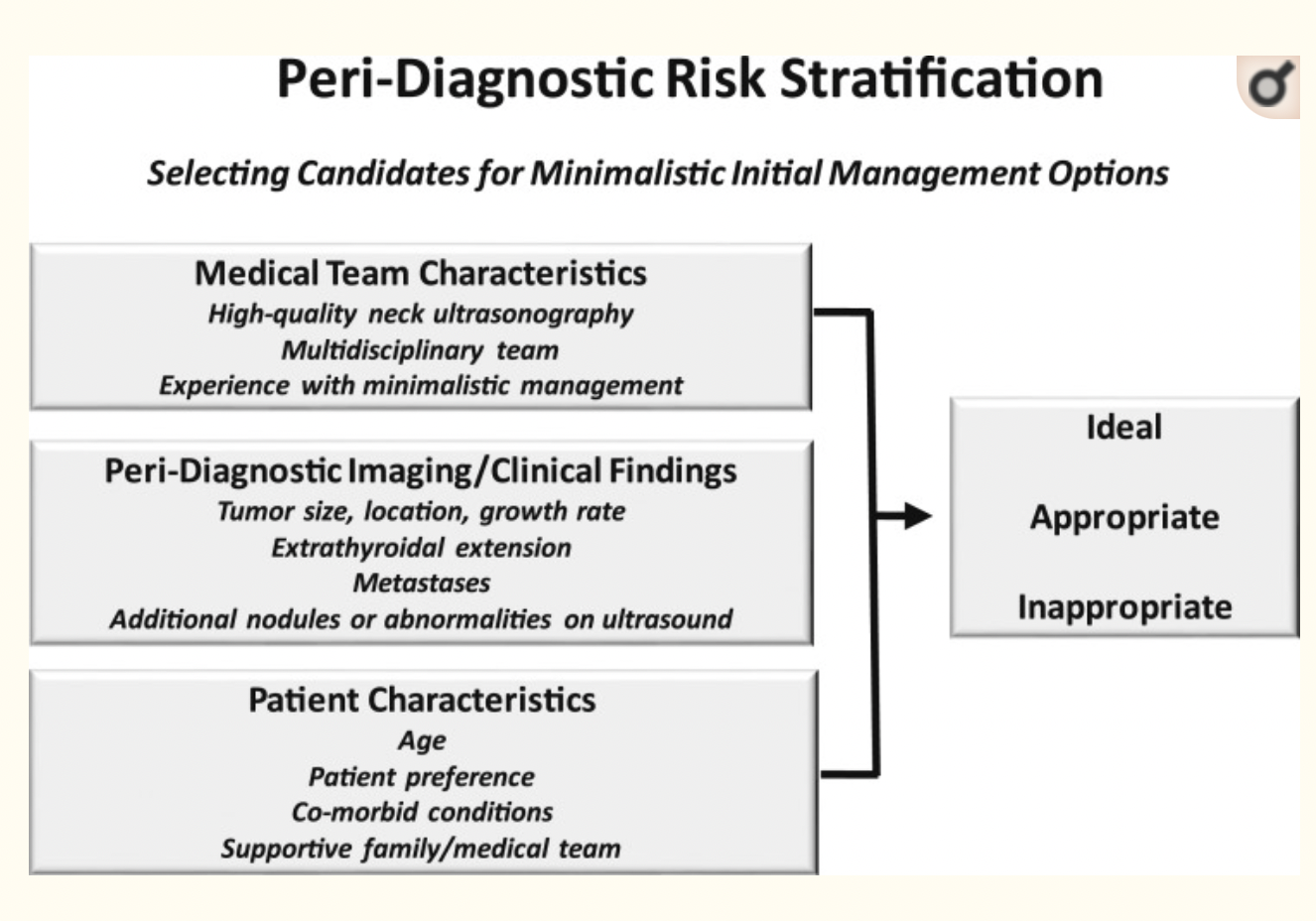 Risk Stratification in Highly Suspicious Thyroid Nodules or ...