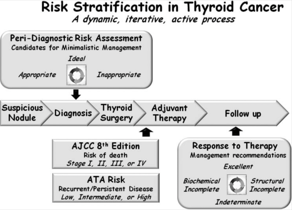 Risk Stratification in Differentiated Thyroid Cancer Part 2 – Rodrigo ...