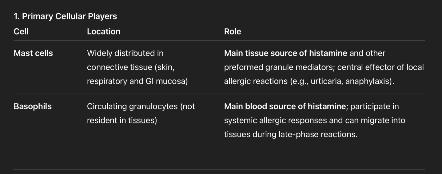 Type I Hypersensitivity Reactions – Key Mechanisms and Mediators ...